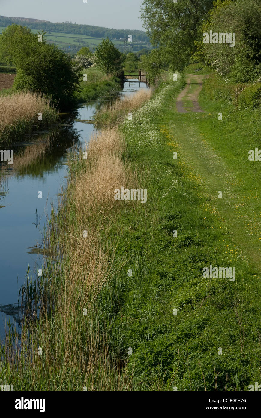 Reeds canal hi-res stock photography and images - Alamy