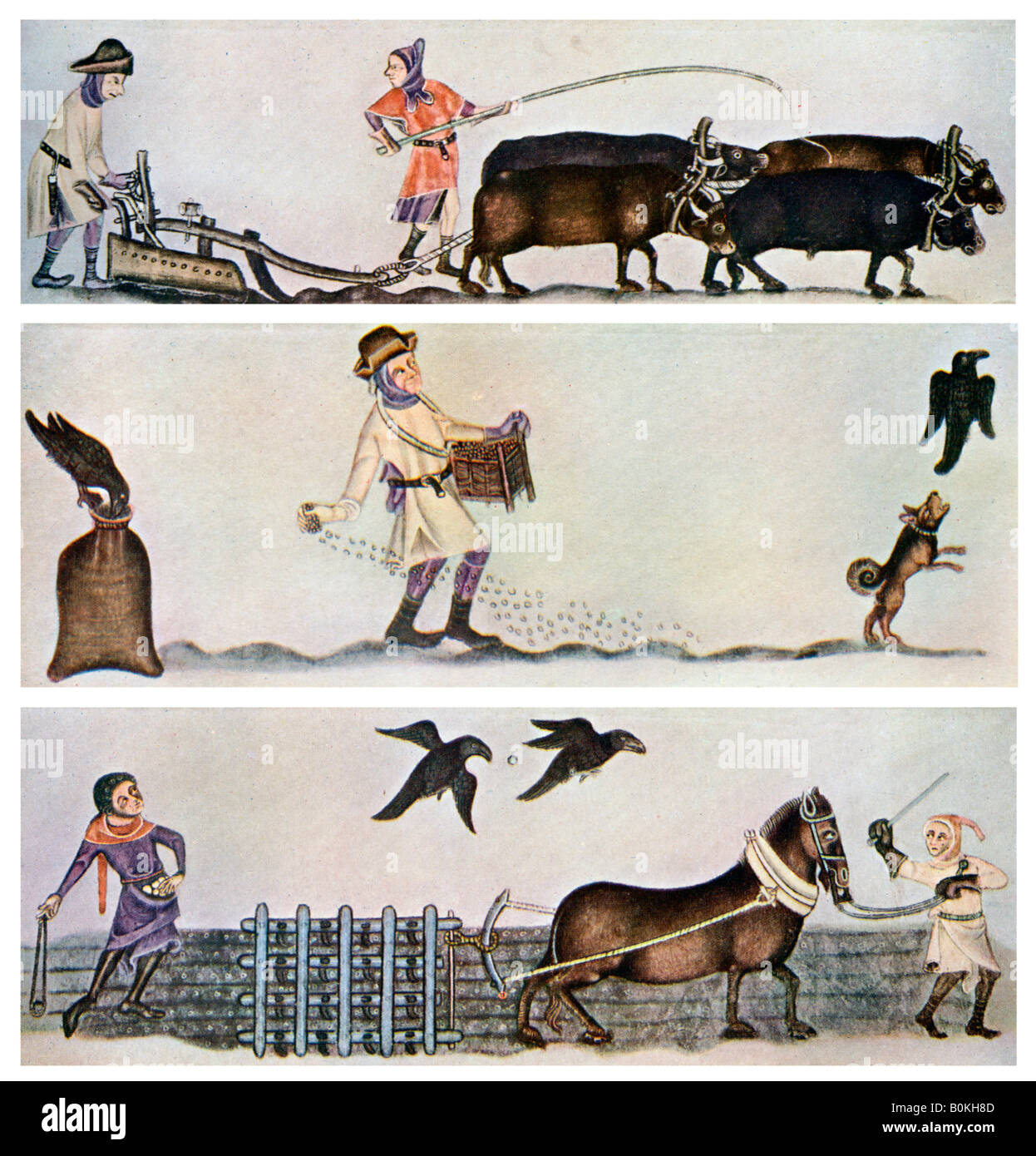 Medieval peasants farming hi-res stock photography and images - Alamy