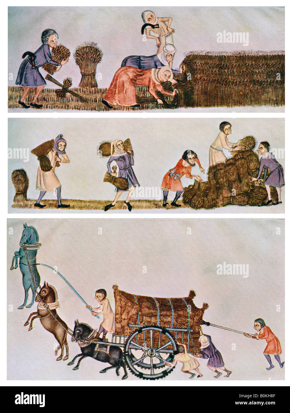 Reaping carrying carting hi-res stock photography and images - Alamy