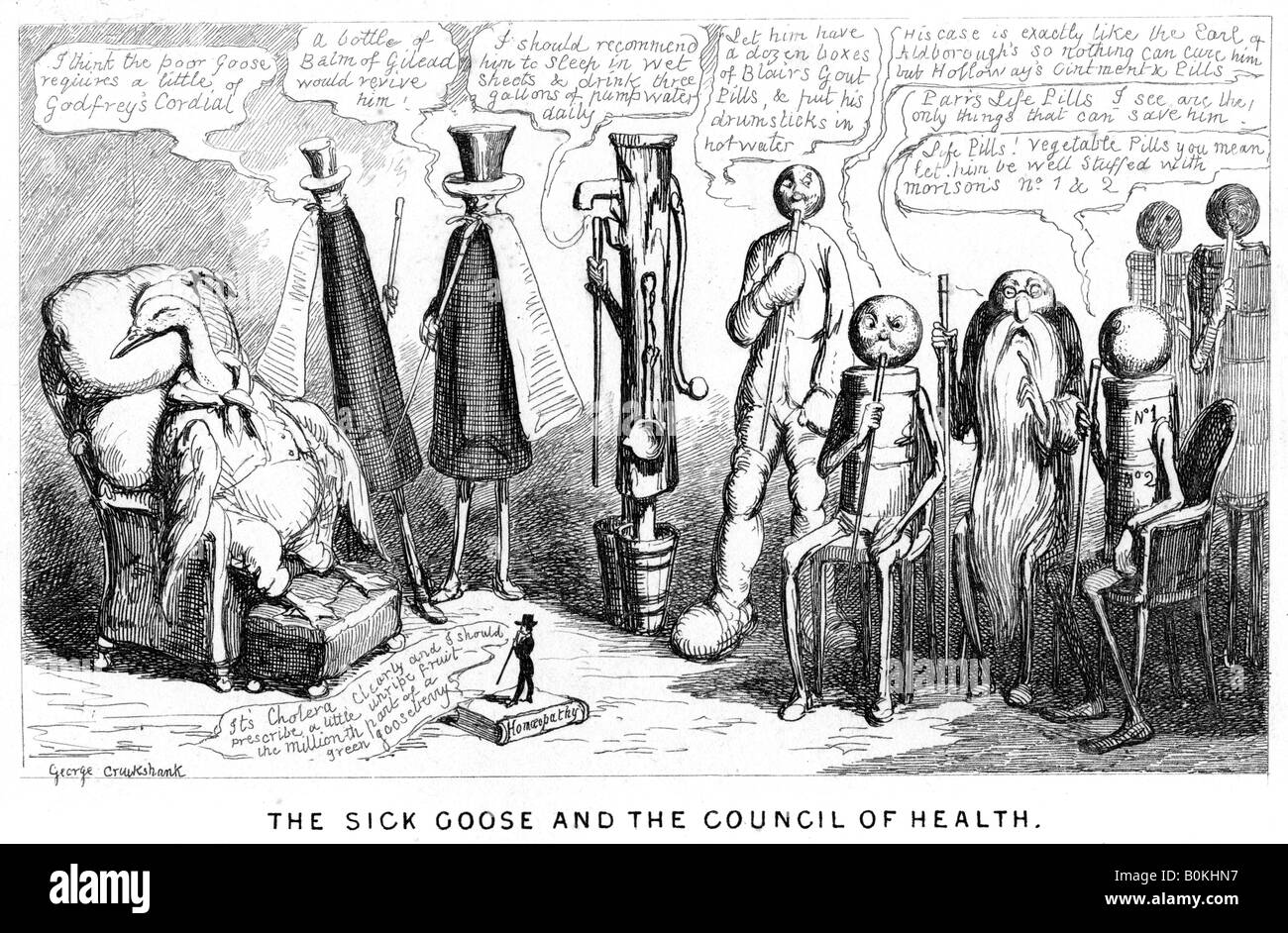 Sick goose Black and White Stock Photos & Images - Alamy