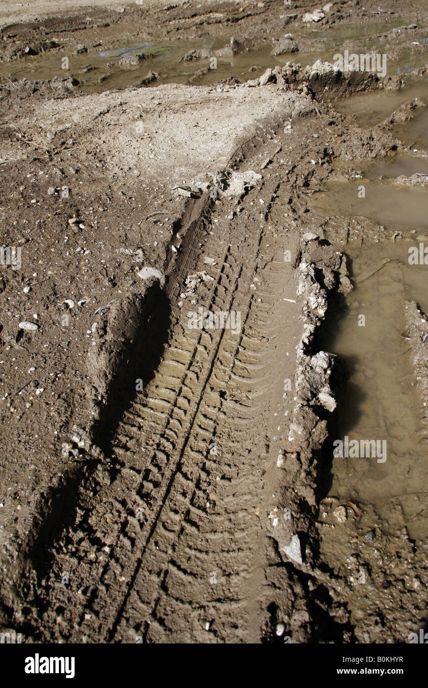tyre tracks crossing in mud Stock Photo - Alamy