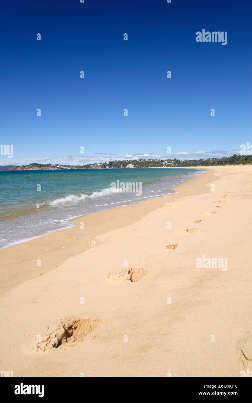 Aslings Beach in Eden, New South Wales, Australia Stock Photo - Alamy