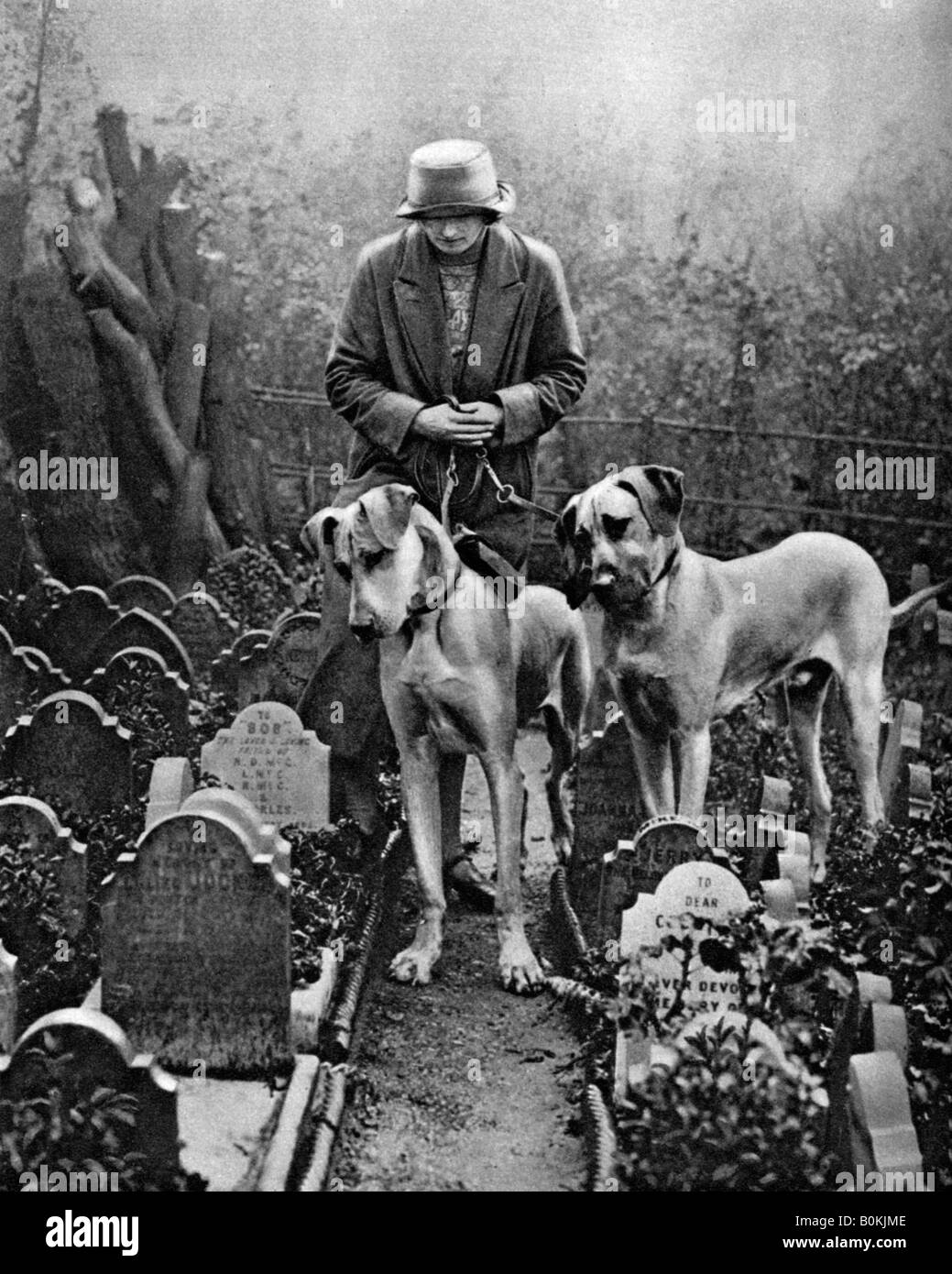 Dog cemetery, Victoria Gate, Bayswater, London, 1926-1927. Artist ...