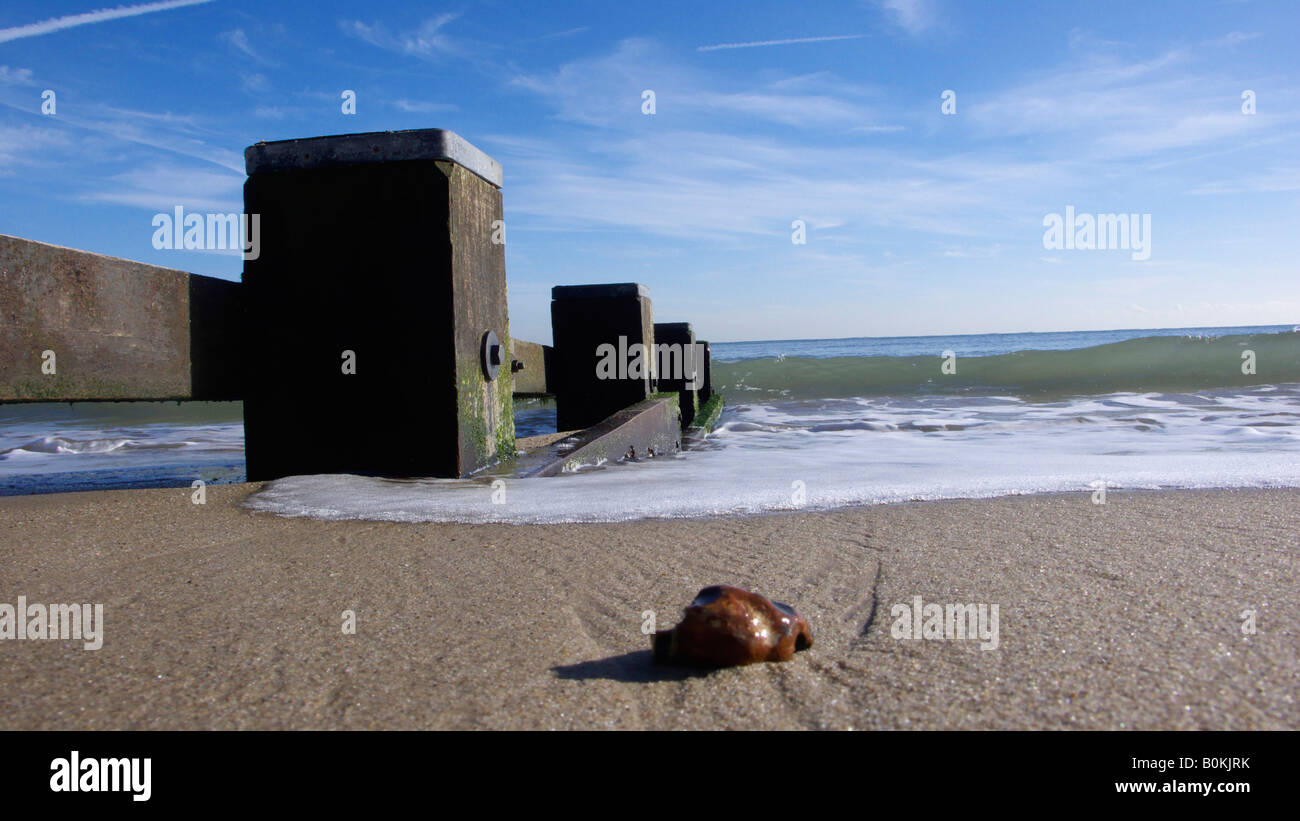 waterbreak, shell and sea at the coast Stock Photo - Alamy