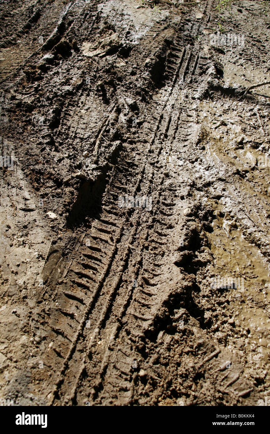 tyre tracks crossing in mud Stock Photo - Alamy