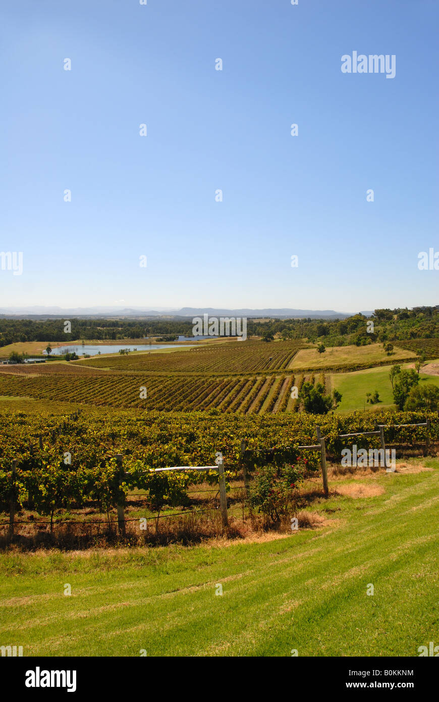 Hunter valley australia hi-res stock photography and images - Alamy