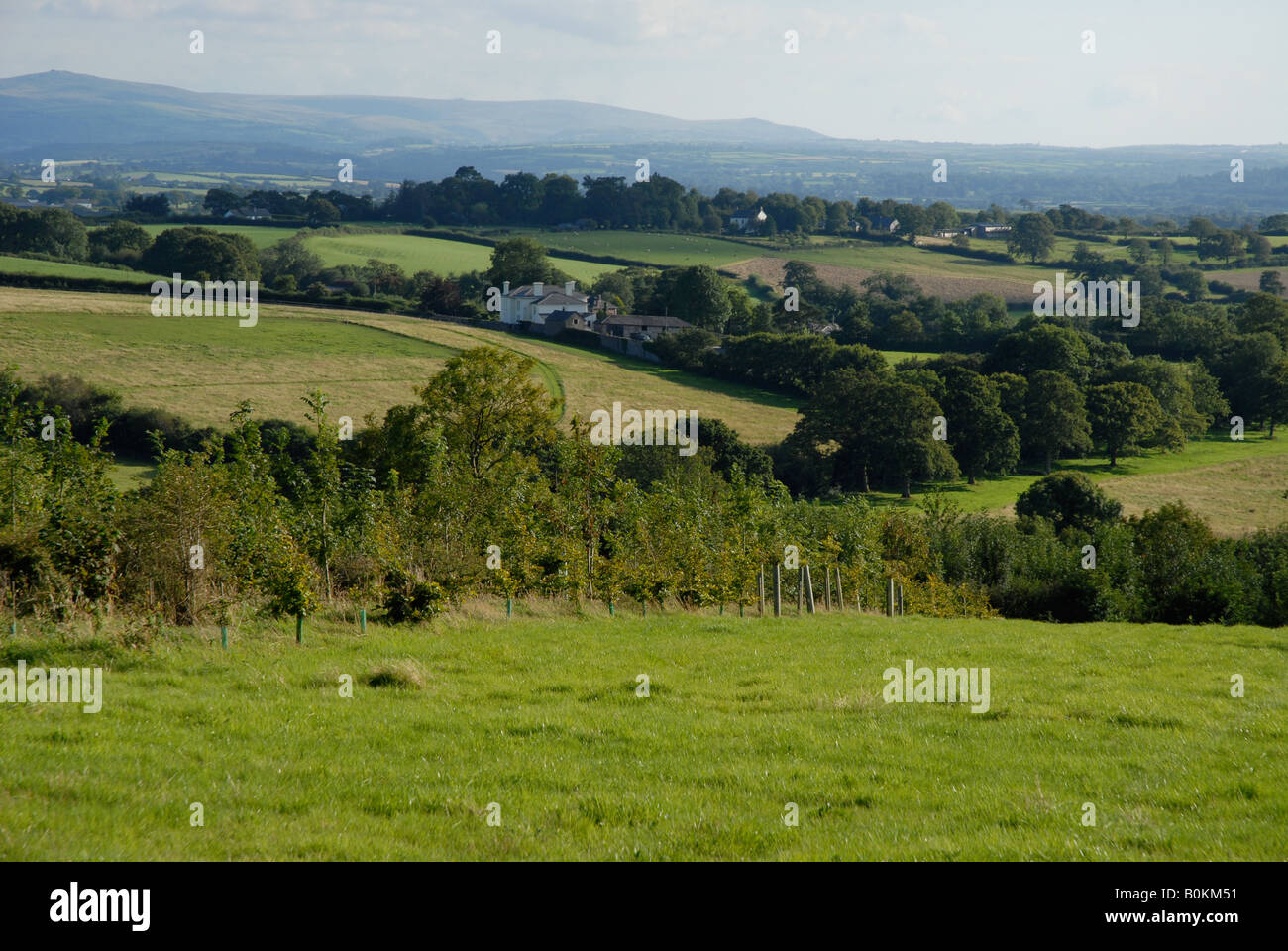 Winkleigh devon hi-res stock photography and images - Alamy