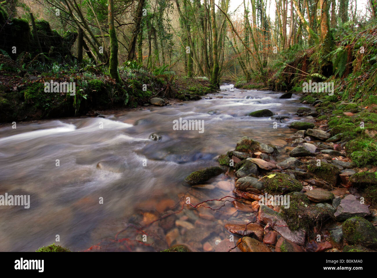 River avill hi-res stock photography and images - Alamy