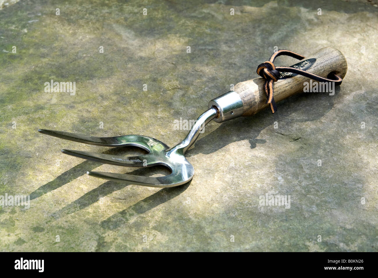 Hand fork hi-res stock photography and images - Alamy
