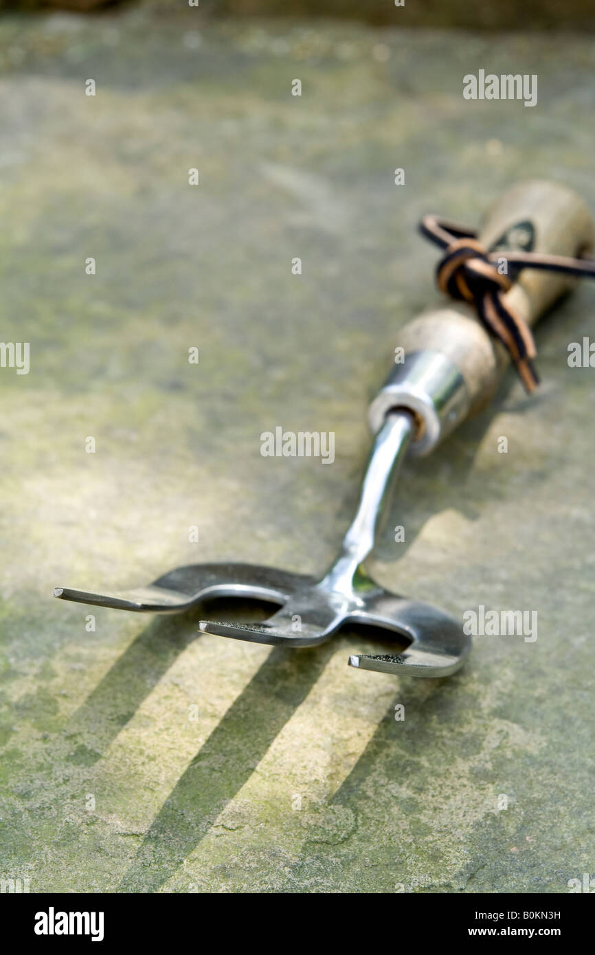 Hand and fork hi-res stock photography and images - Alamy