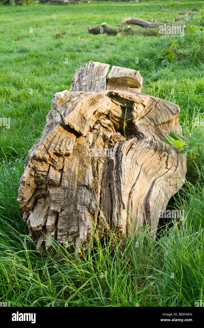 An old ^weathered log, UK Stock Photo - Alamy