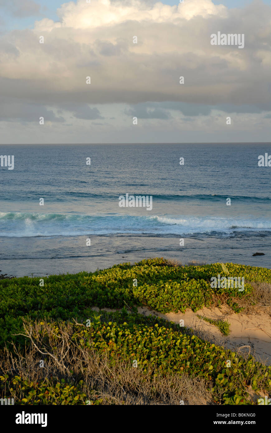 Mango sunset hi-res stock photography and images - Alamy