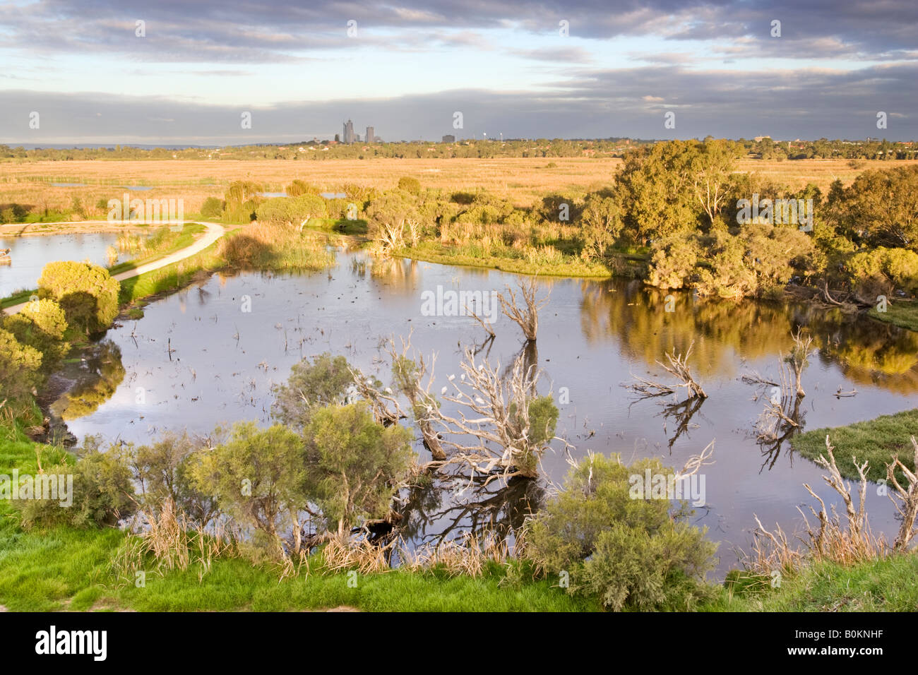 Herdsman Lake Regional Park nature reserve in Perth with the city's ...