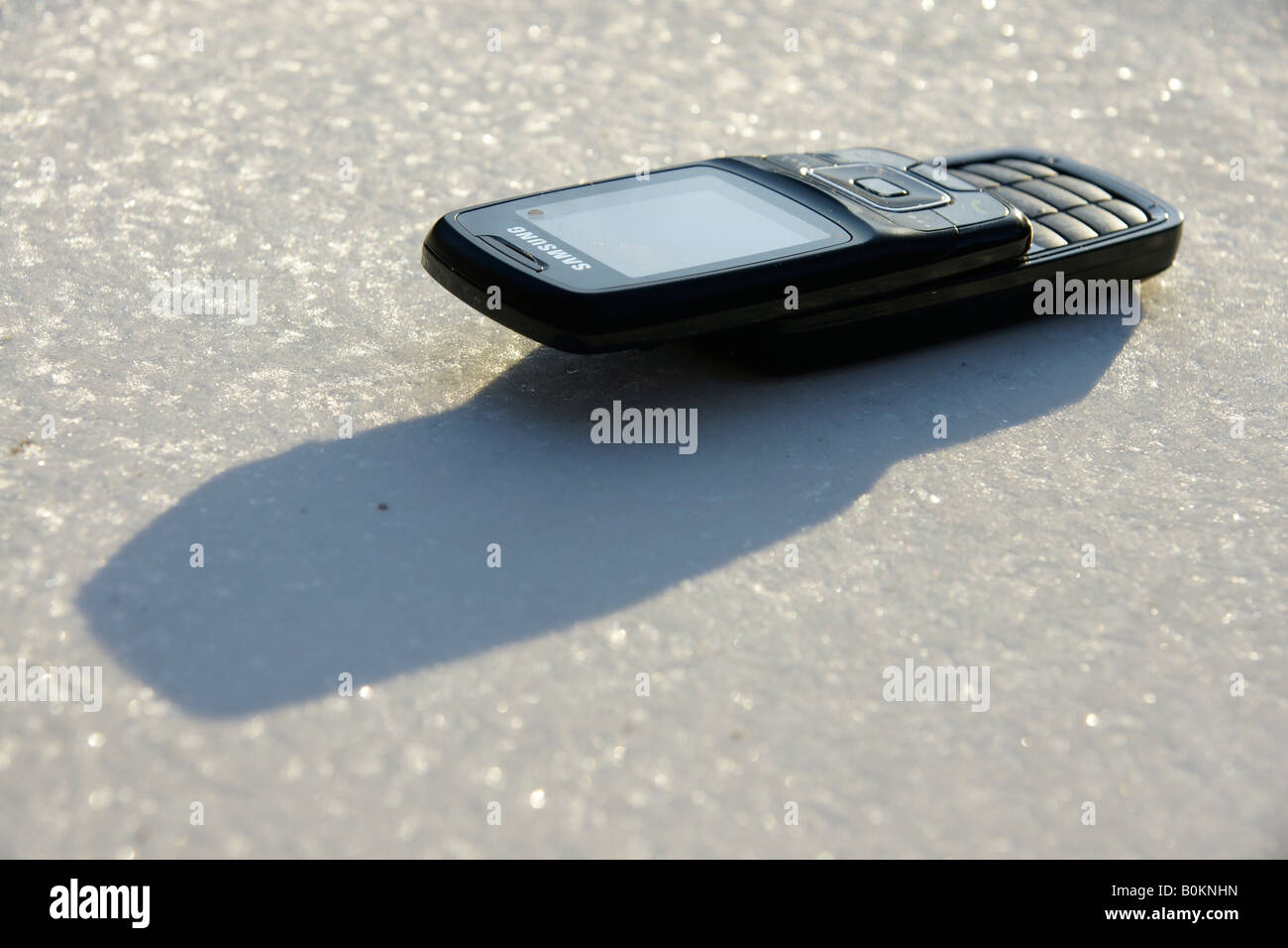 Black sam hi-res stock photography and images - Alamy