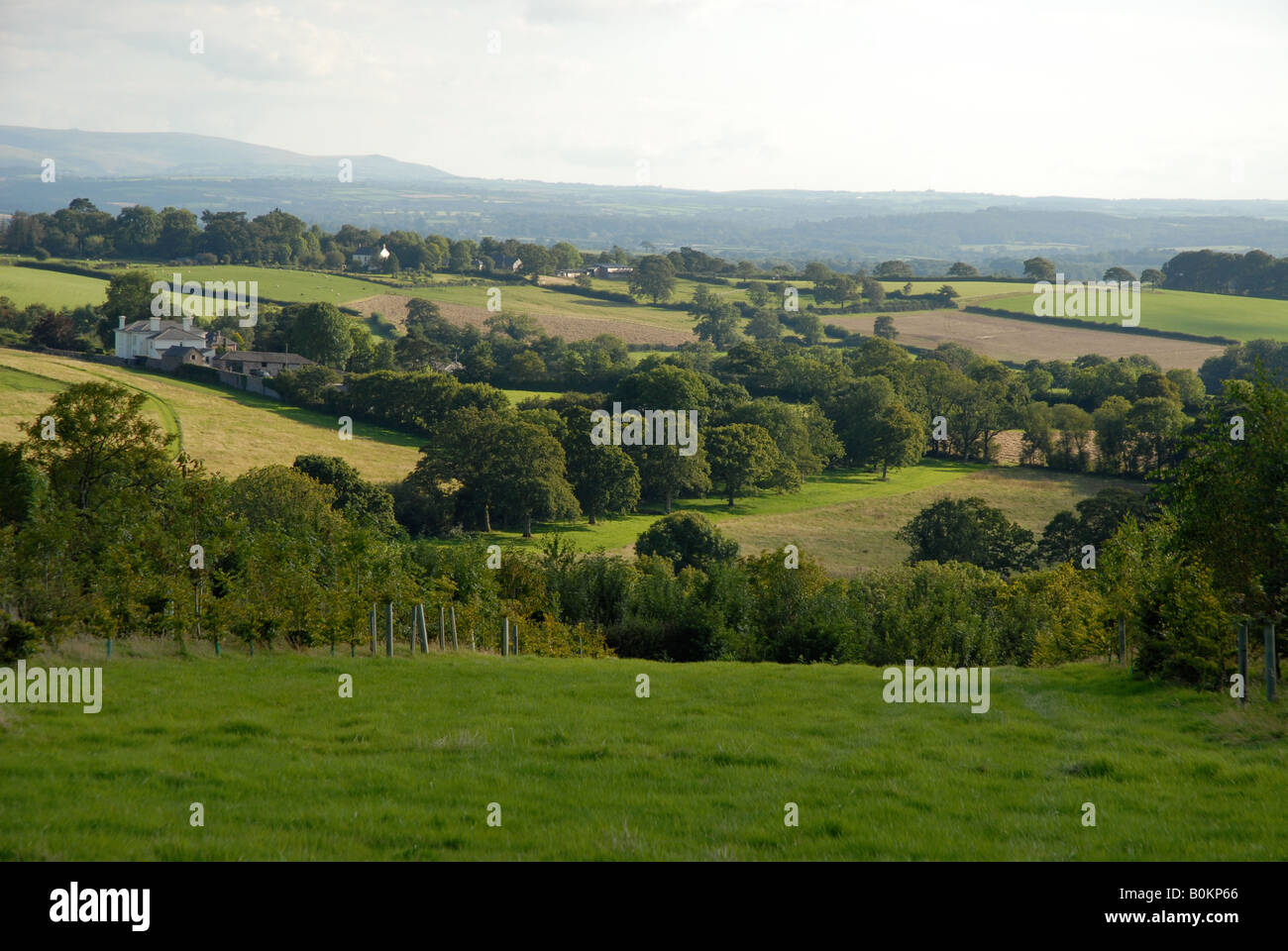 Typical devon landscape hi-res stock photography and images - Alamy
