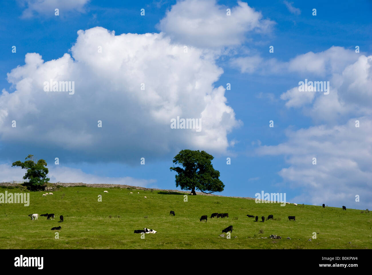 UK England cumbria kirkby lonsdale landscape Stock Photo - Alamy