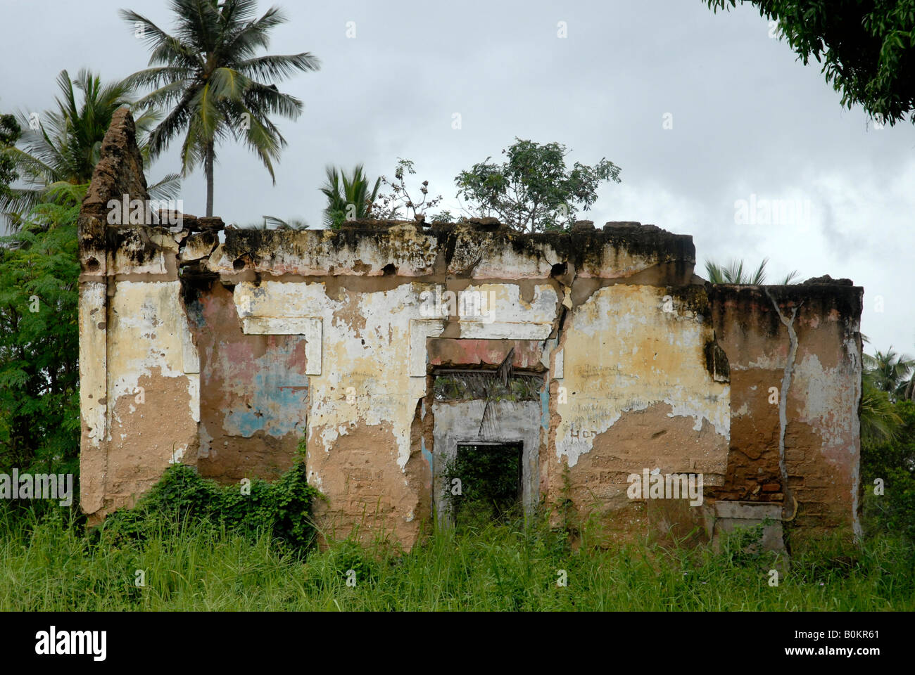 Broken tree structure hi-res stock photography and images - Alamy