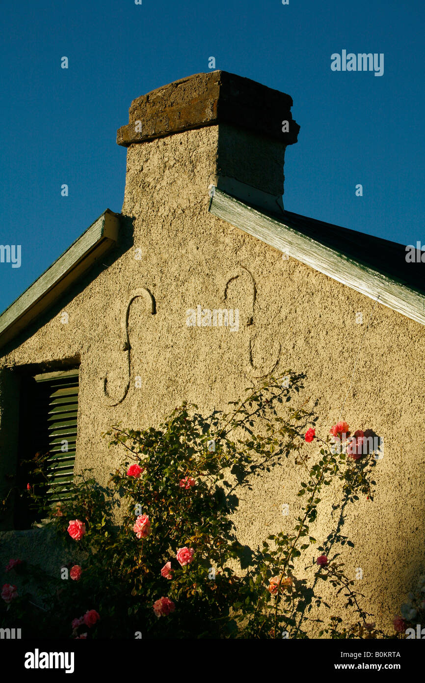 Red rambling roses climb a stucco wall Stock Photo - Alamy