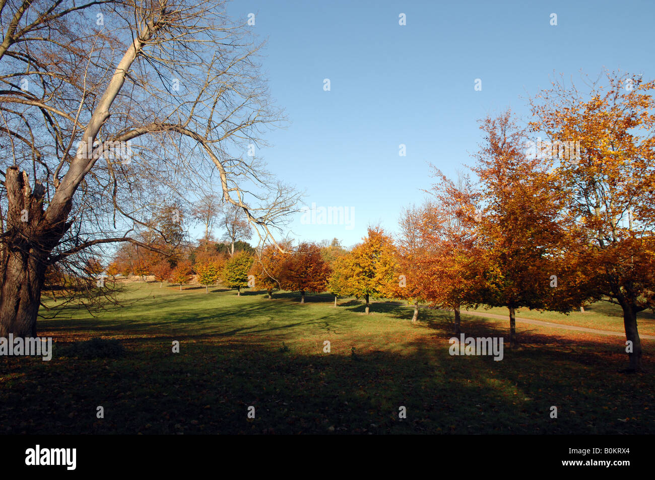 Kent lane autumn hi-res stock photography and images - Alamy