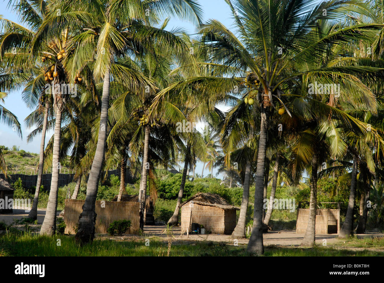 Rural village huts mozambique hi-res stock photography and images - Alamy