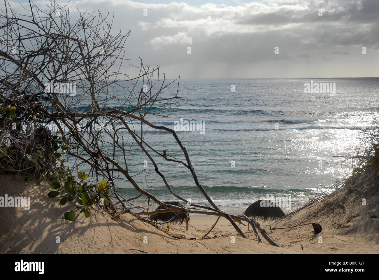 Mango Beach High Resolution Stock Photography and Images - Alamy