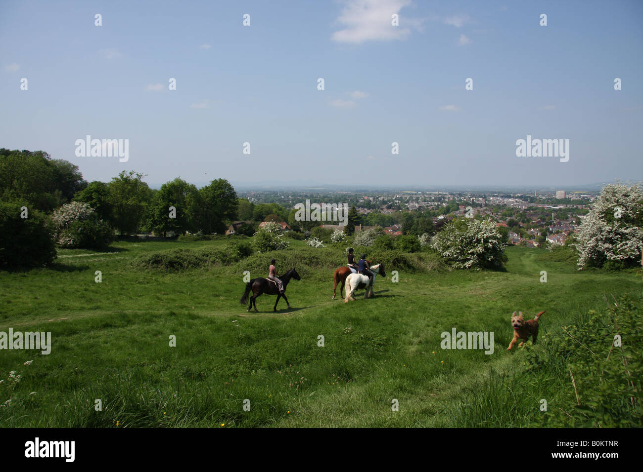 Leckhampton hill, cheltenham hi-res stock photography and images - Alamy