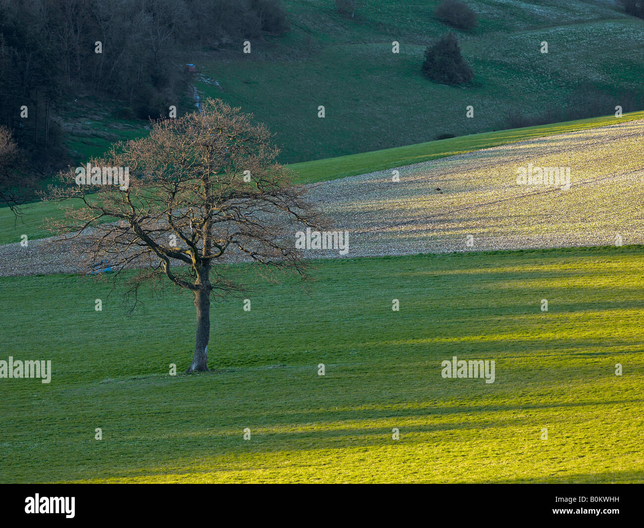 English field hi-res stock photography and images - Alamy