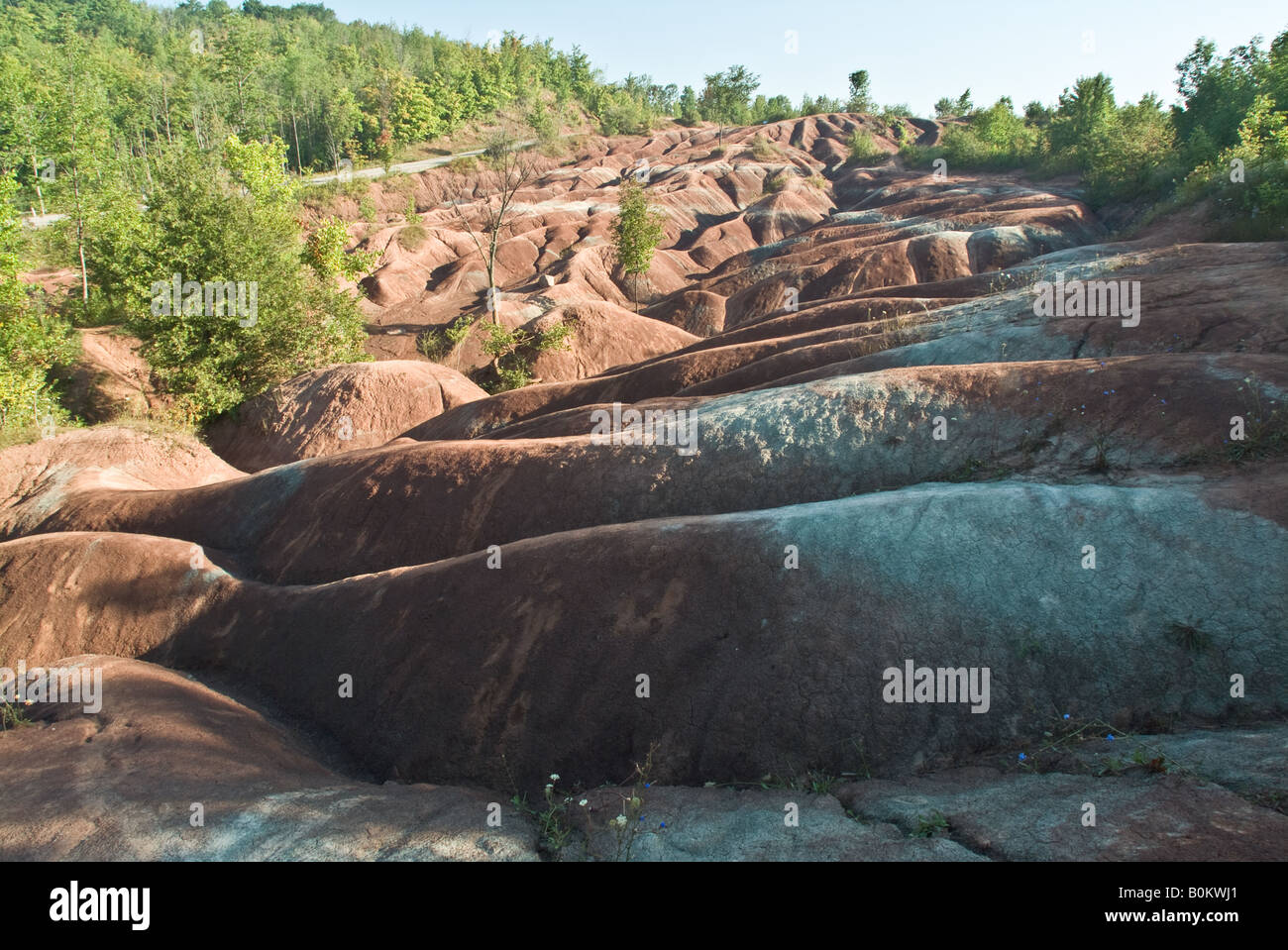 Queenston shale hi-res stock photography and images - Alamy