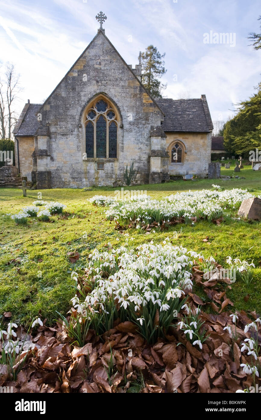 Snowdrops flowering in the churchyard of St James church in the ...