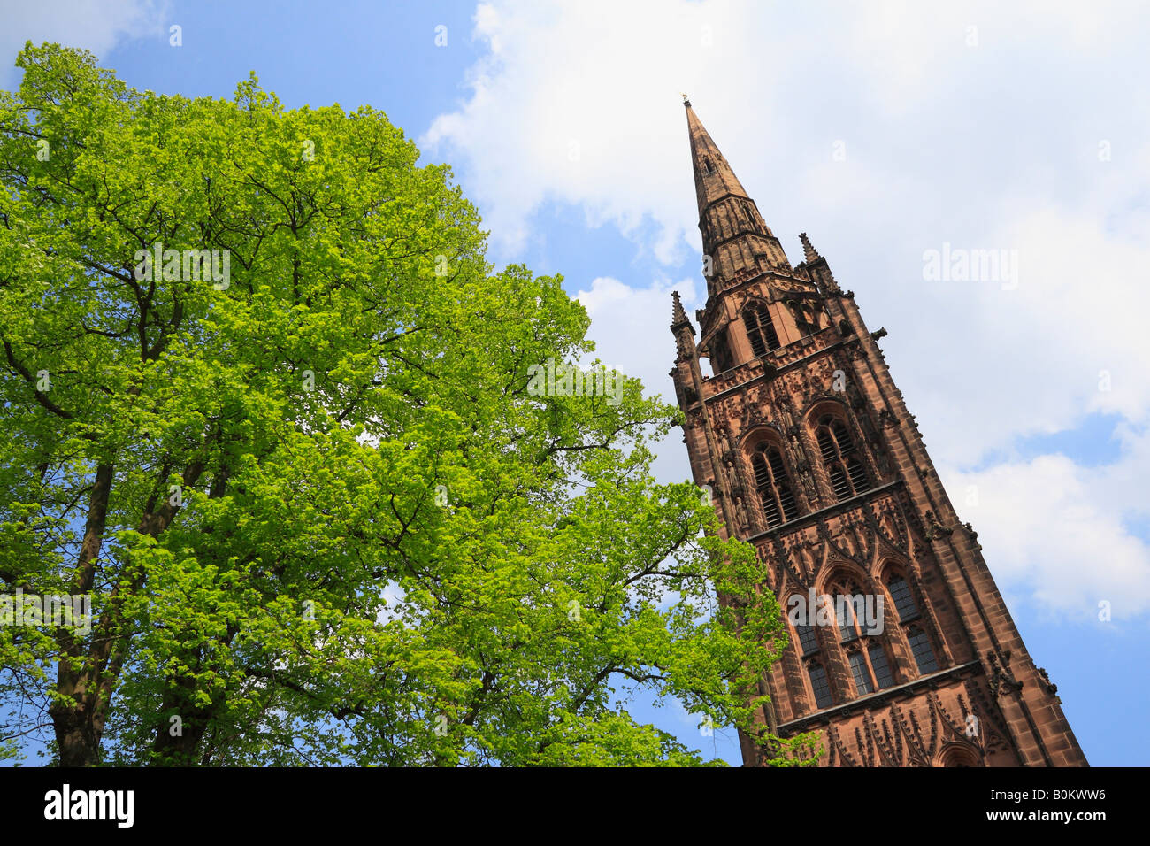 Coventry cathedral old spire with trees in Springtime Stock Photo - Alamy