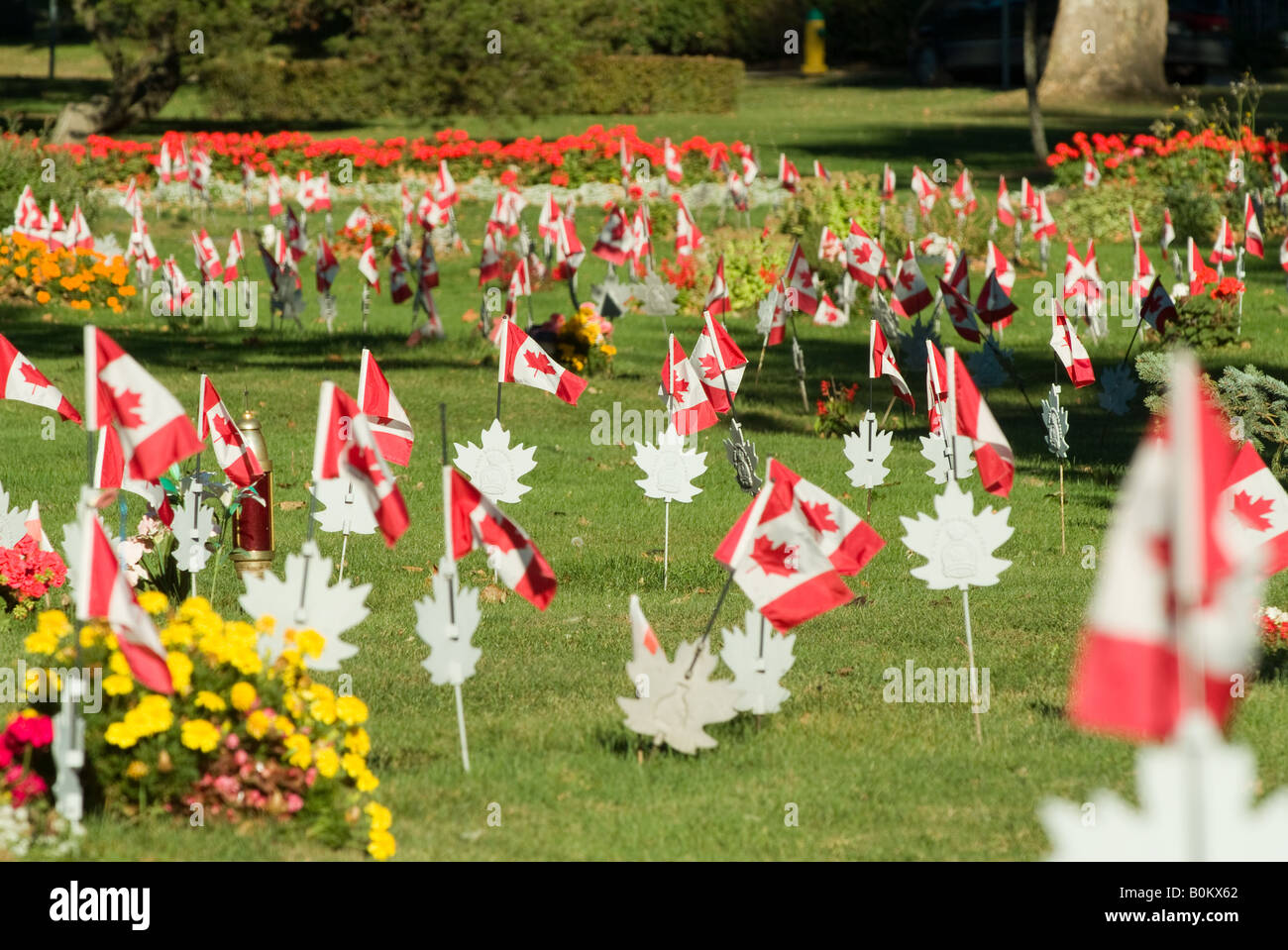 Death with dignity canada hi-res stock photography and images - Alamy