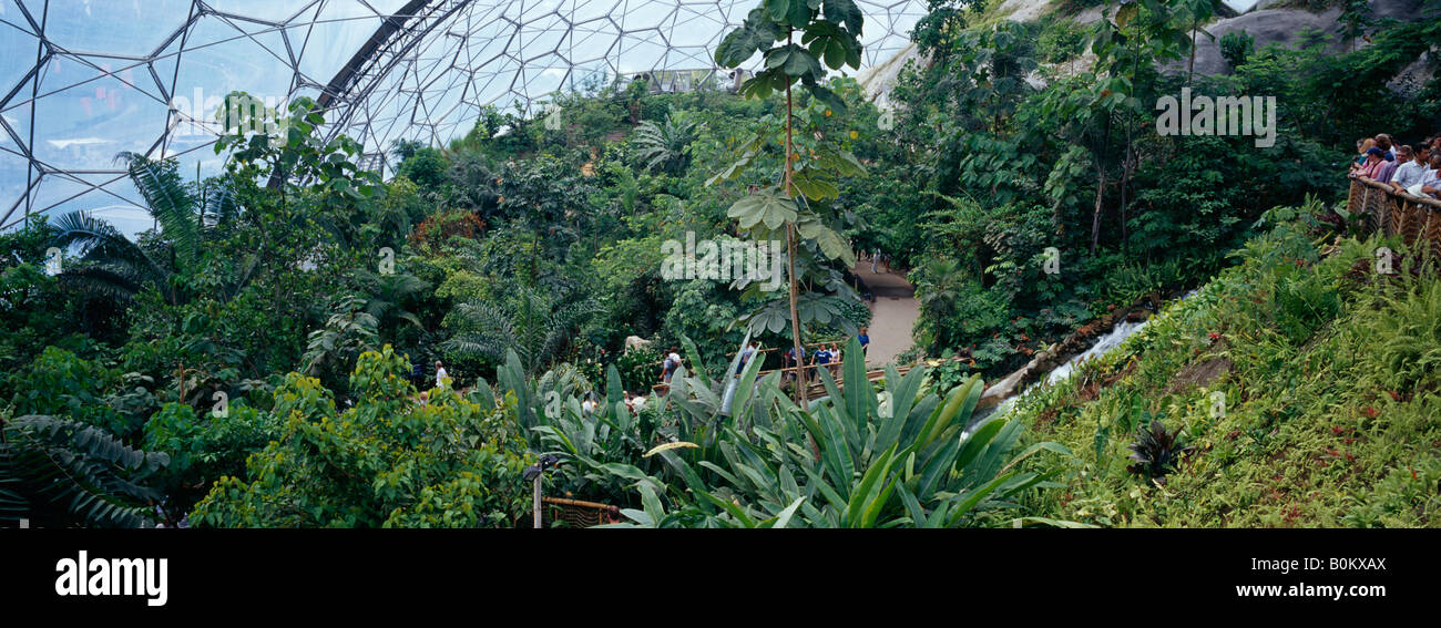 Eden project inside rainforest biome hi-res stock photography and ...