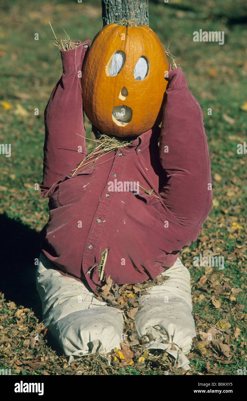 USA Vermont, Woodstock area, Pumpkin person Autumn Stock Photo - Alamy