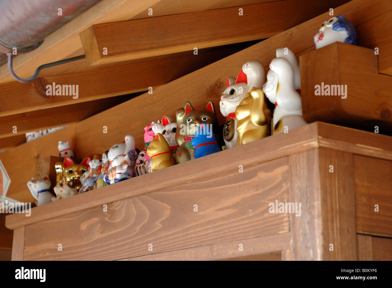 Cat paw raised hi-res stock photography and images - Alamy