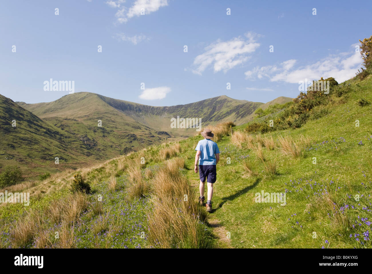 Rear view of a person walking alone on country path through spring ...