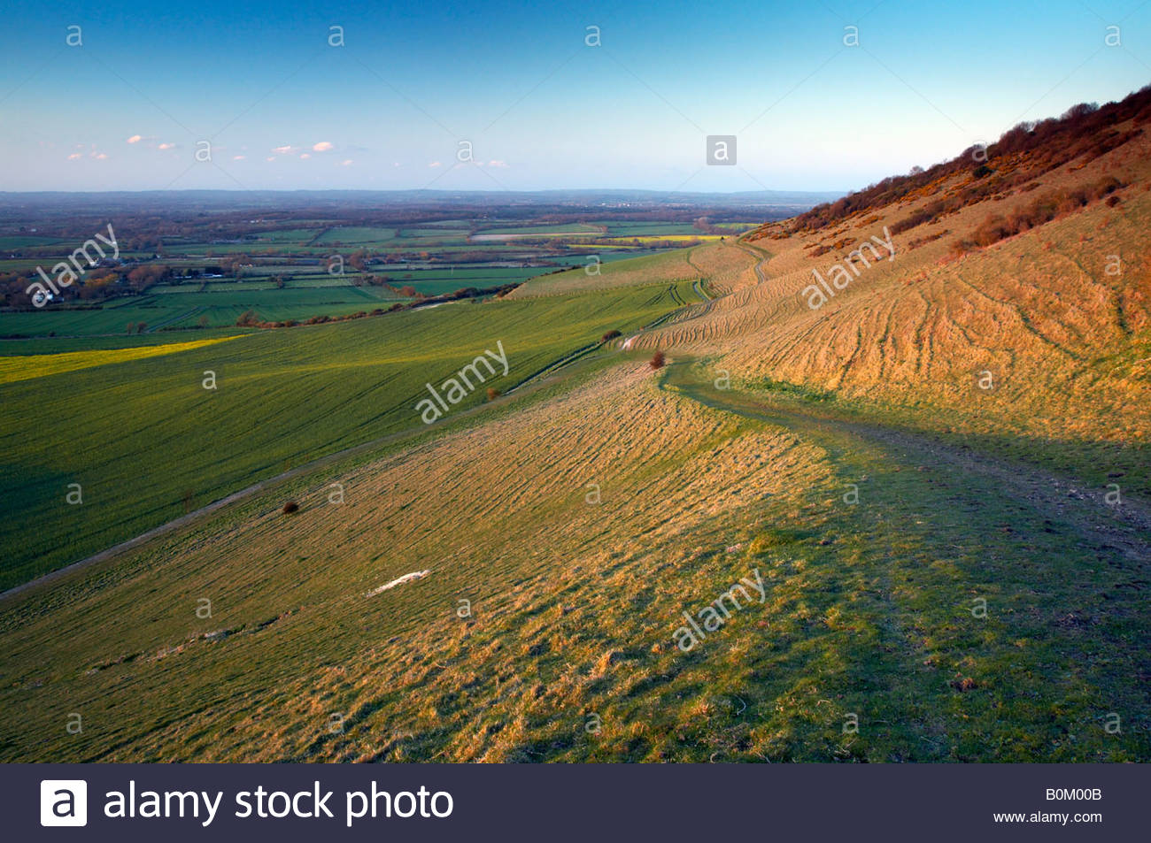 Ersion High Resolution Stock Photography and Images - Alamy