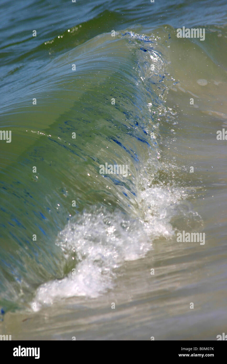 Wave on Florida Gulf Coast Stock Photo - Alamy
