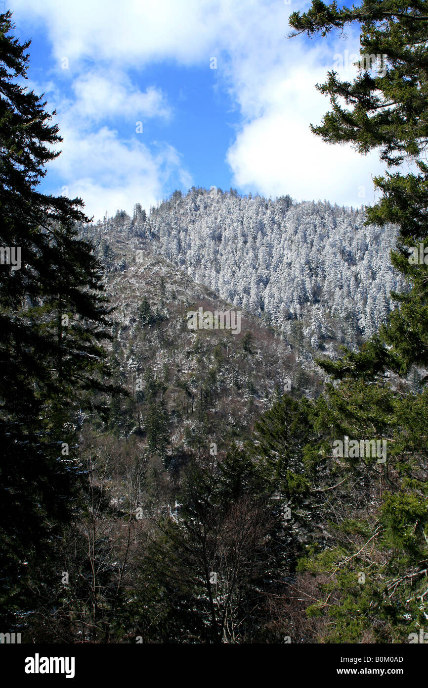 Newfound gap spring hi-res stock photography and images - Alamy