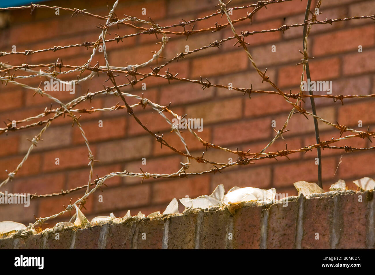 Broken glass and barbed wire hi-res stock photography and images - Alamy