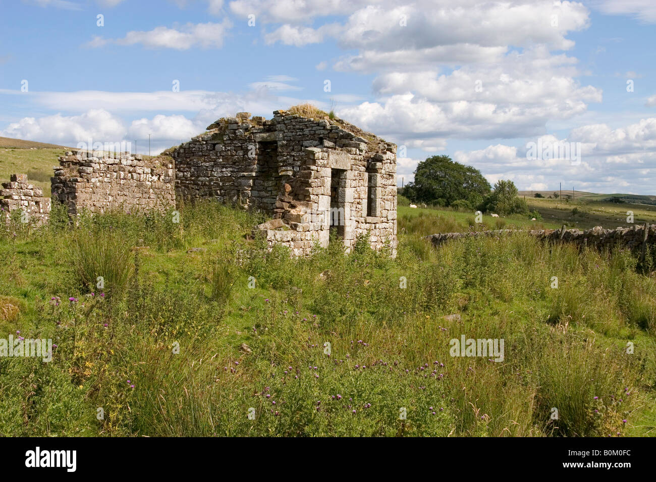 Ruins of fortified house Northumberland Stock Photo - Alamy