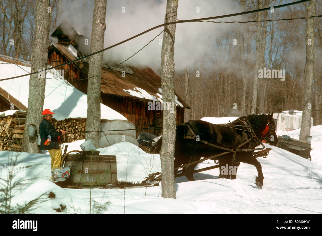 Maple sugaring vermont hi-res stock photography and images - Alamy