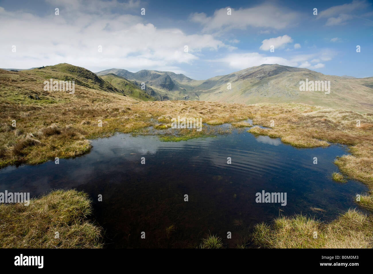 Tarn howe hi-res stock photography and images - Alamy