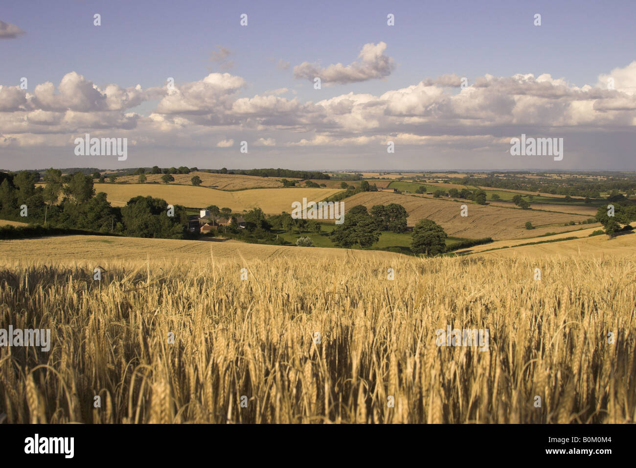 English farming landscape hi-res stock photography and images - Alamy