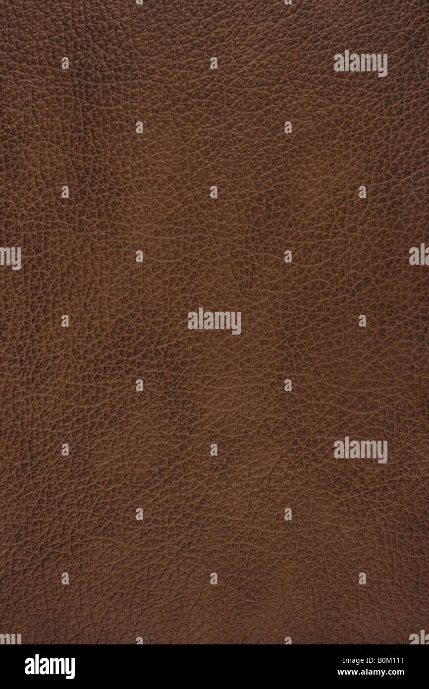 Leather pattern hi-res stock photography and images - Alamy