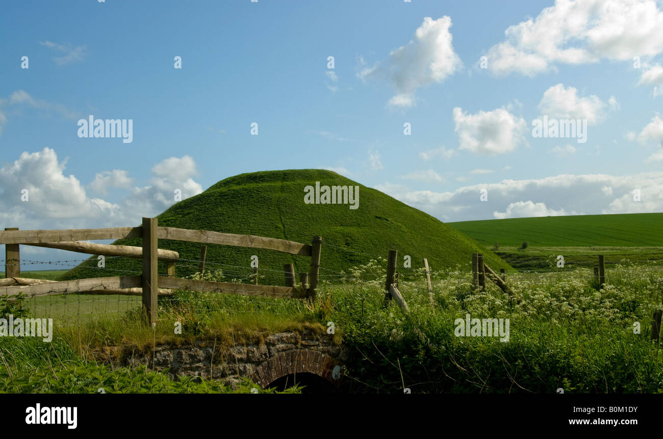 Neolithic horse hi-res stock photography and images - Alamy