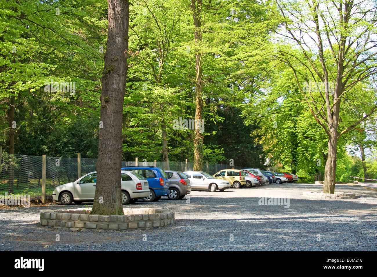 Forest in Spring and Parking Lot Stock Photo - Alamy