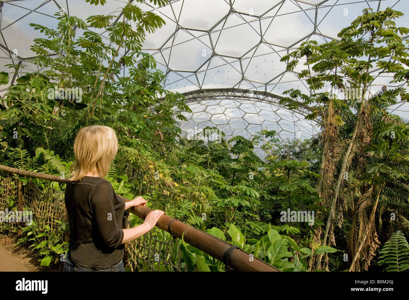 Eden Project Tropical Dome High Resolution Stock Photography and Images ...