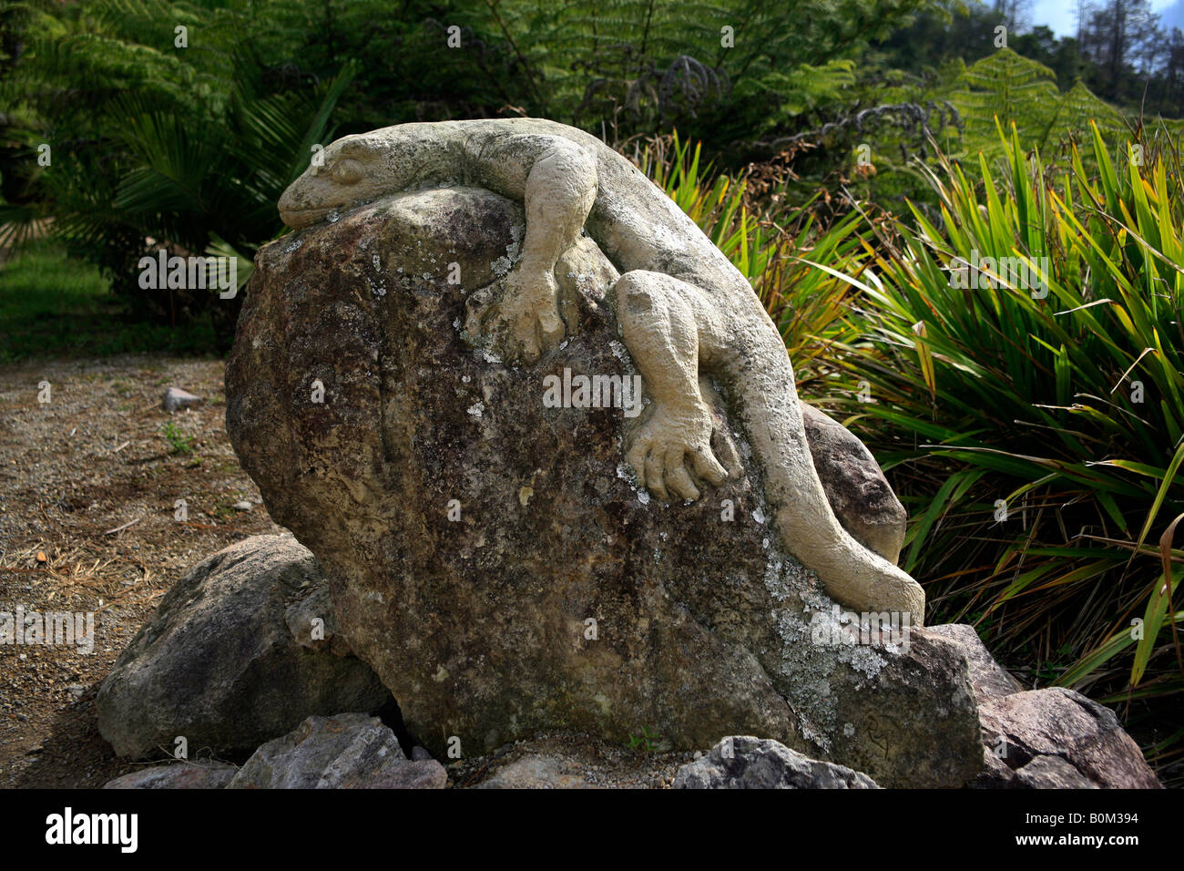 North island lizard new zealand hi-res stock photography and images - Alamy