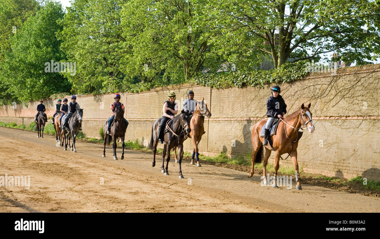 Horses riding out group hi-res stock photography and images - Alamy