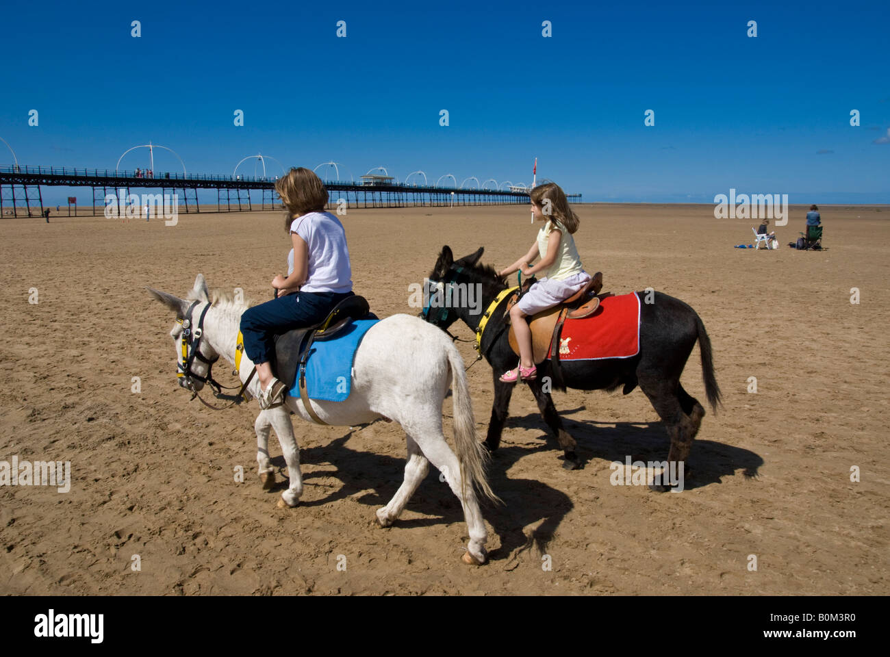 europe UK England lancashire southport donkey ride Stock Photo - Alamy
